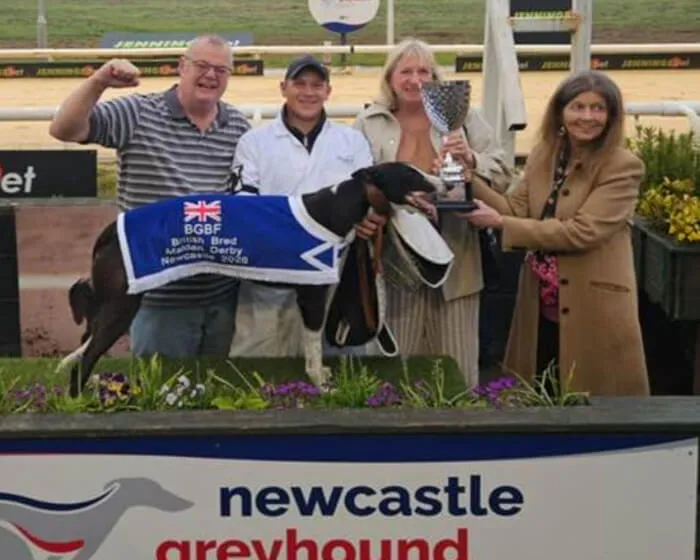 Towcester Greyhound Track Guide | Results and Racecards
