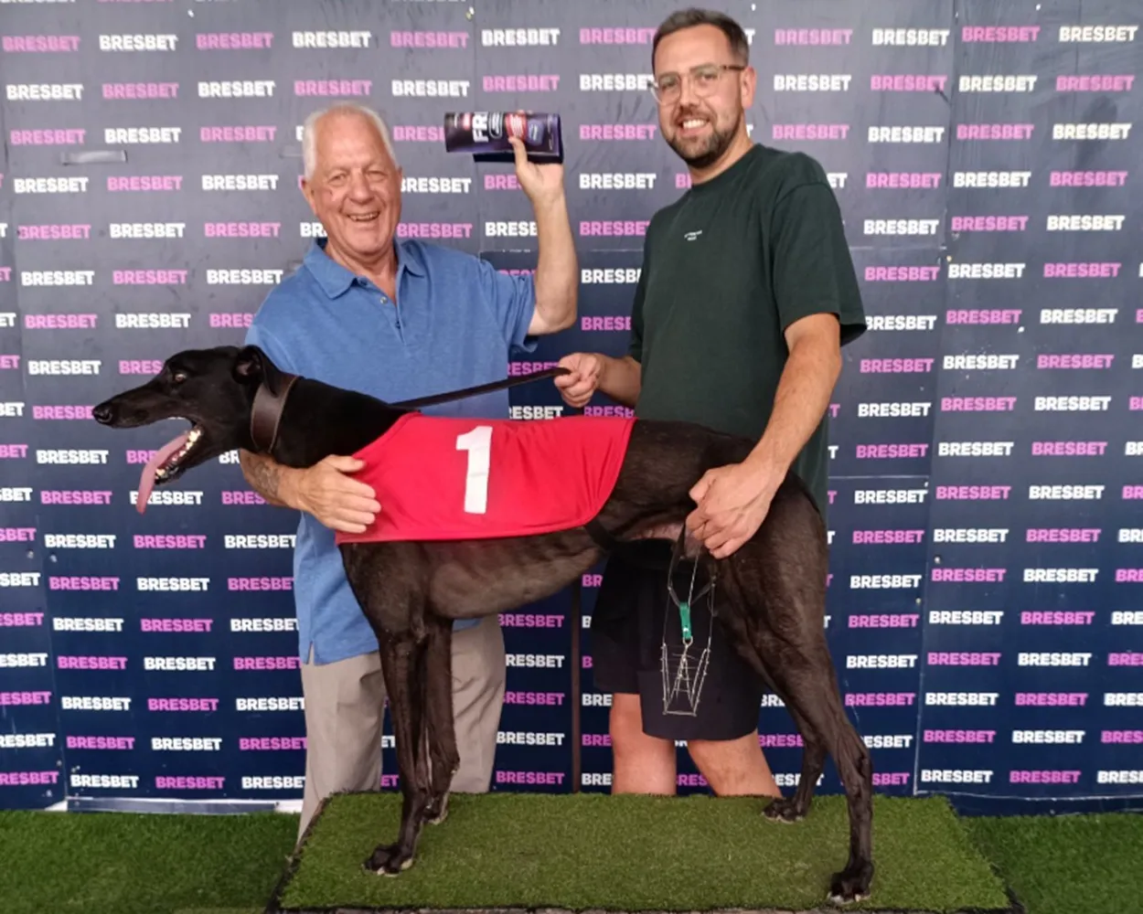 At The Races Greyhounds | Racecards, Results, Tips and News