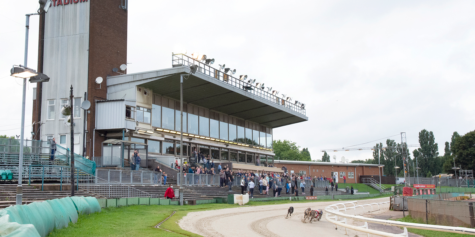 Towcester Greyhound Track Guide | Results and Racecards
